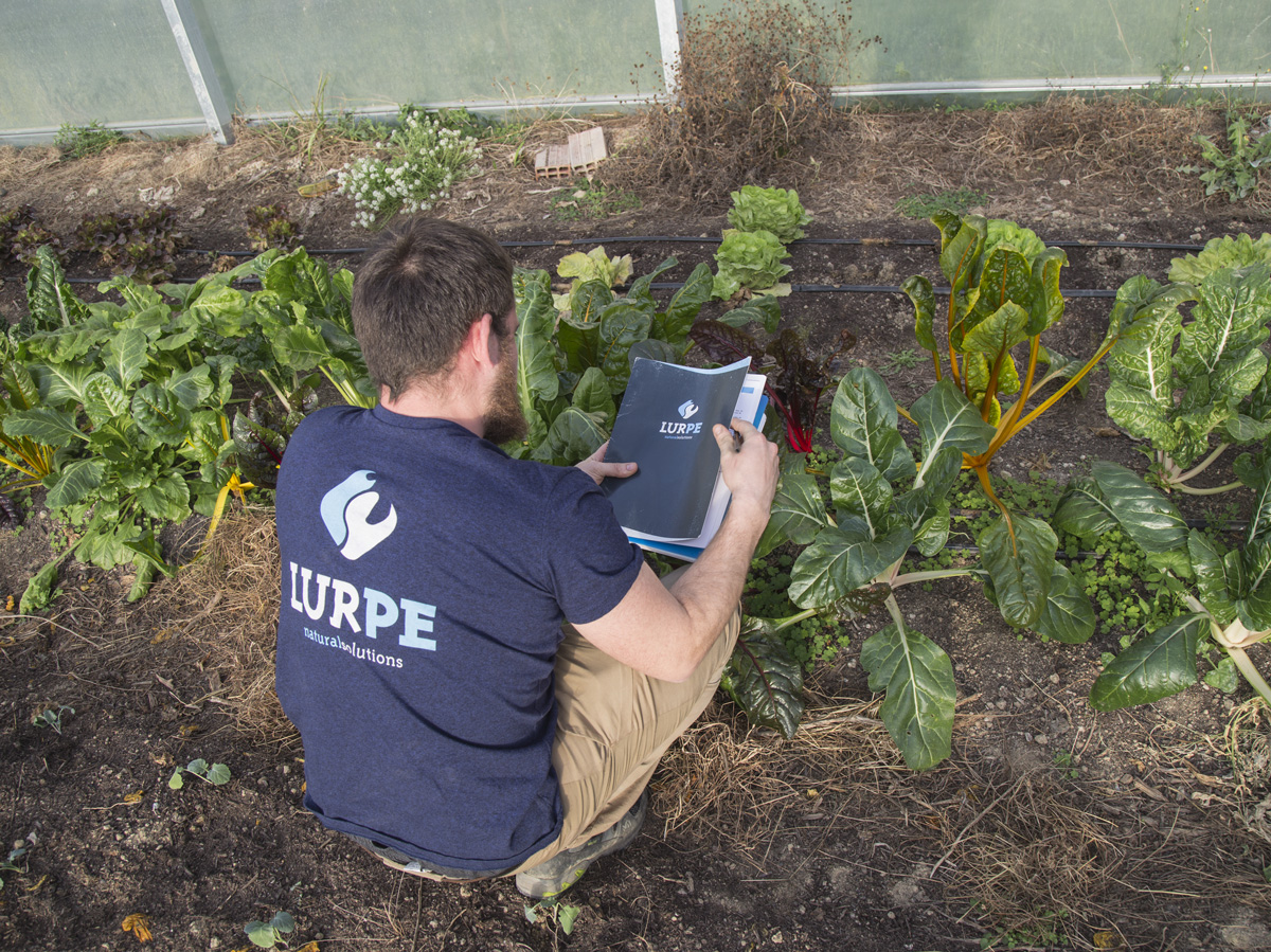 Home — LURPE - Natural Solutions