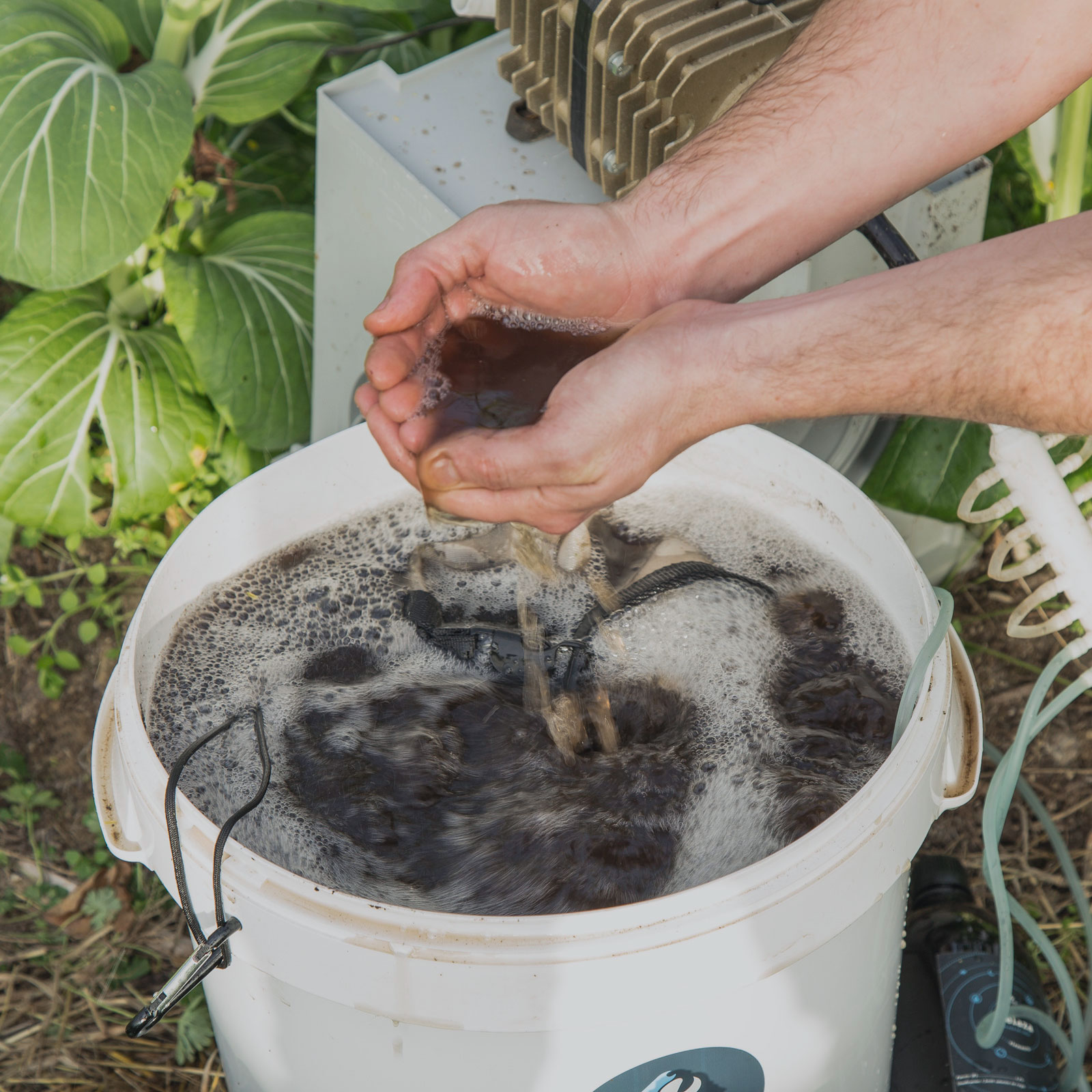 Compost Tea – LURPE Natural Solutions