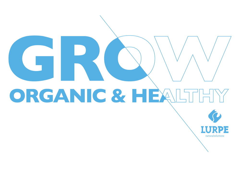 The Soil: Earth’s Vital Layer – LURPE Natural Solutions