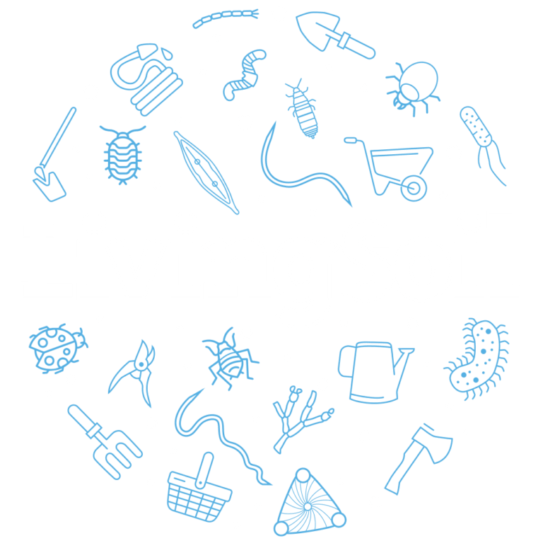 The Soil: Earth’s Vital Layer – LURPE Natural Solutions