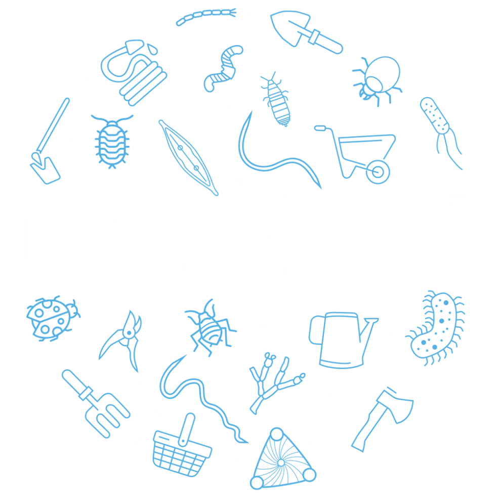 La Mosca del Mantillo, la plaga mas común en Suelos Vivos – LURPE ...